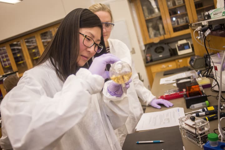 Programs – MassBioEd